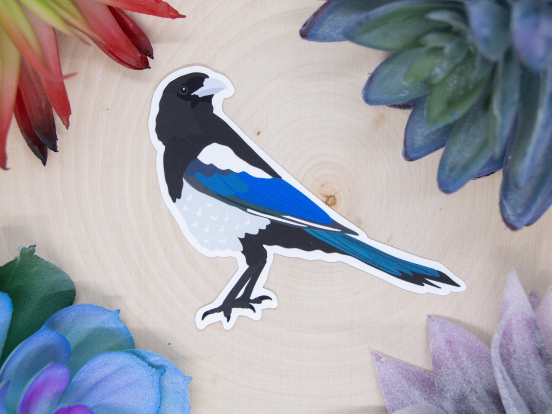 Black Billed Magpie Sticker, Bird Sticker, Birdwatching Sticker ...