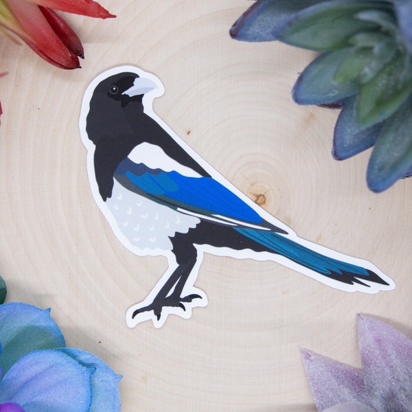 Magpie Decal - Etsy