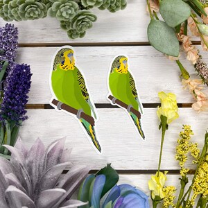 Green Parakeet Sticker, Bird Sticker, Birdwatching Sticker, Birding ...