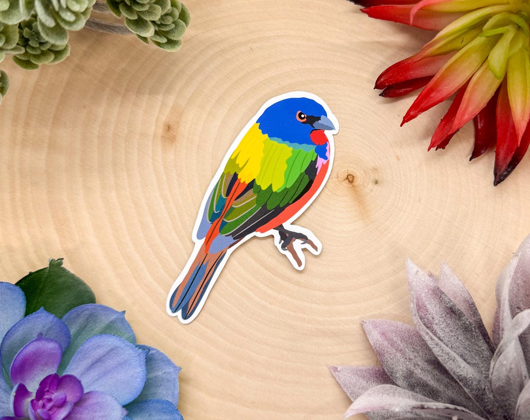 Painted Bunting Sticker, Bird Sticker, Birdwatching Sticker, Birding ...