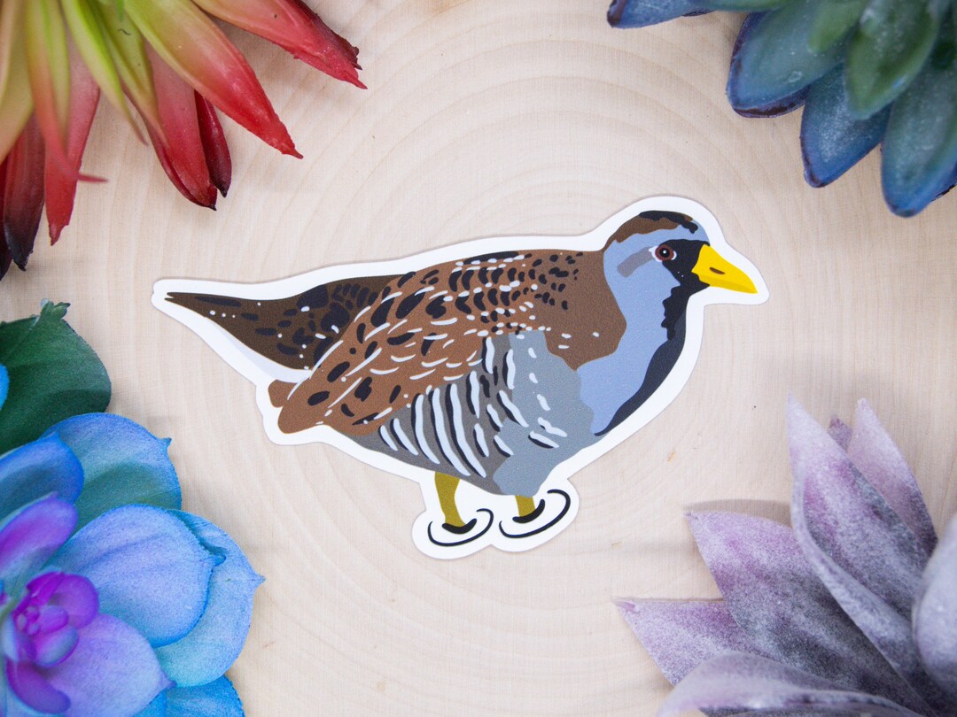 Sora Sticker, Sora Rail Sticker, Sora Decal, Sora Gift, Sora Decor ...