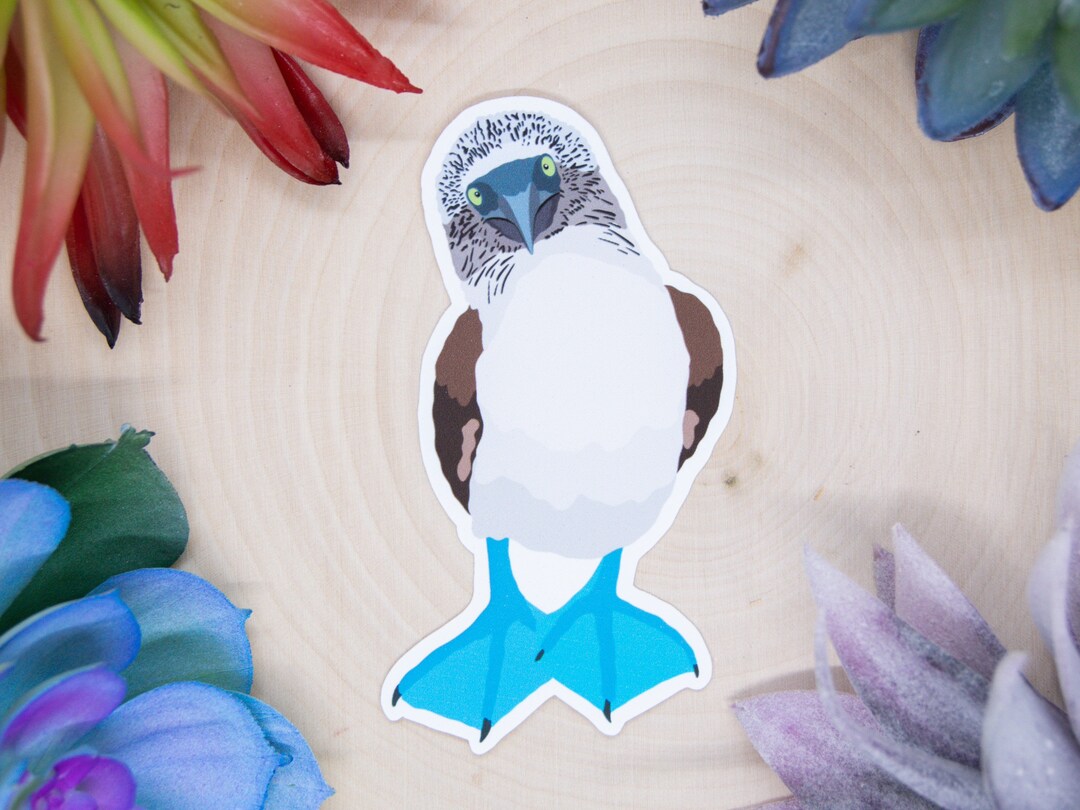 Blue Footed Booby Sticker, Bird Sticker, Birdwatching Sticker, Birding ...