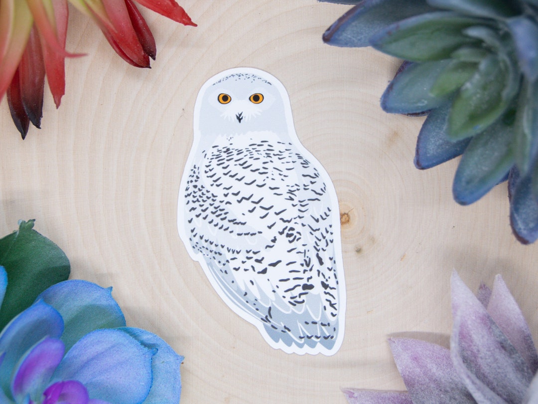 Snowy Owl Sticker, Bird Sticker, Birdwatching Sticker, Birding Sticker ...