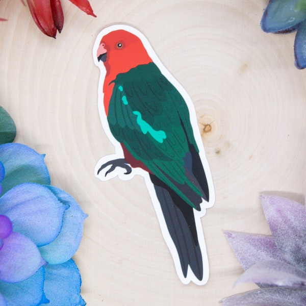 Parrot - Etsy