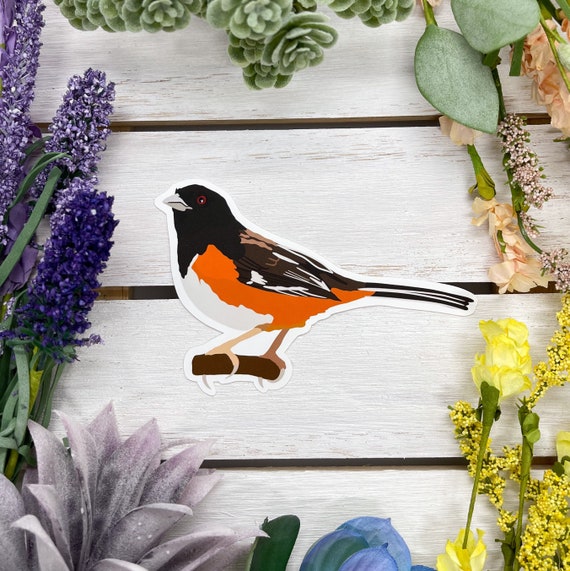 Towhee Sticker Bird Sticker Birdwatching Sticker Birding | Etsy