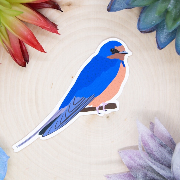 Swallow Decal - Etsy