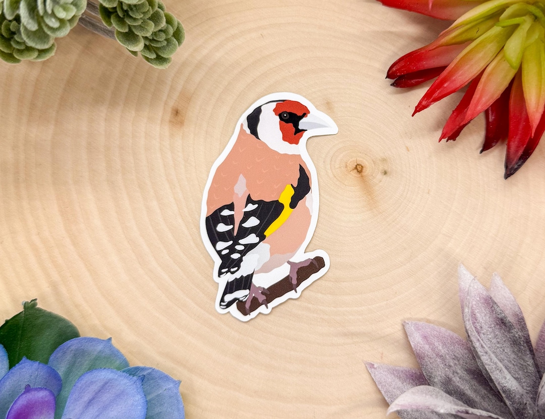 European Goldfinch Sticker, Bird Sticker, Birdwatching Sticker, Birding ...