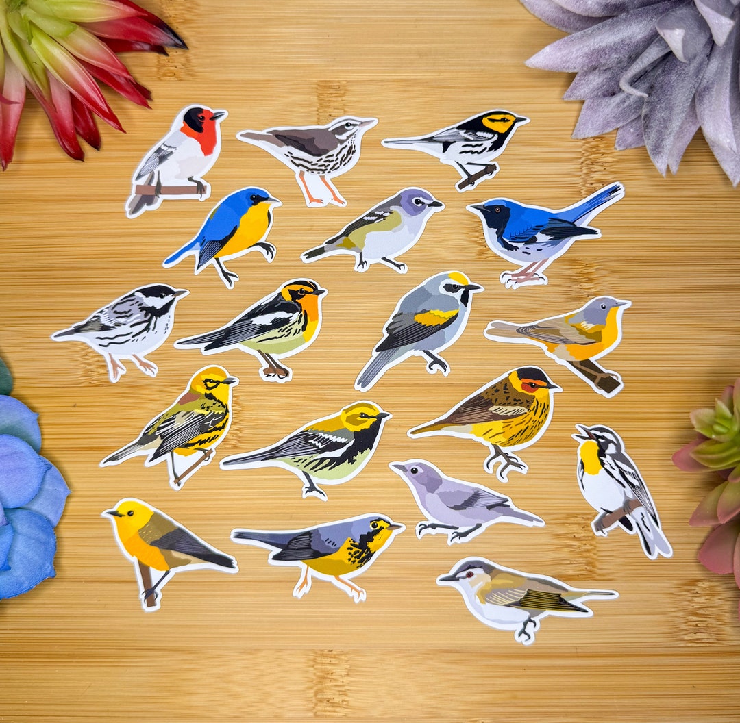Warbler Sticker Pack, Mini Bird Sticker Pack, Bird Journal Stickers ...