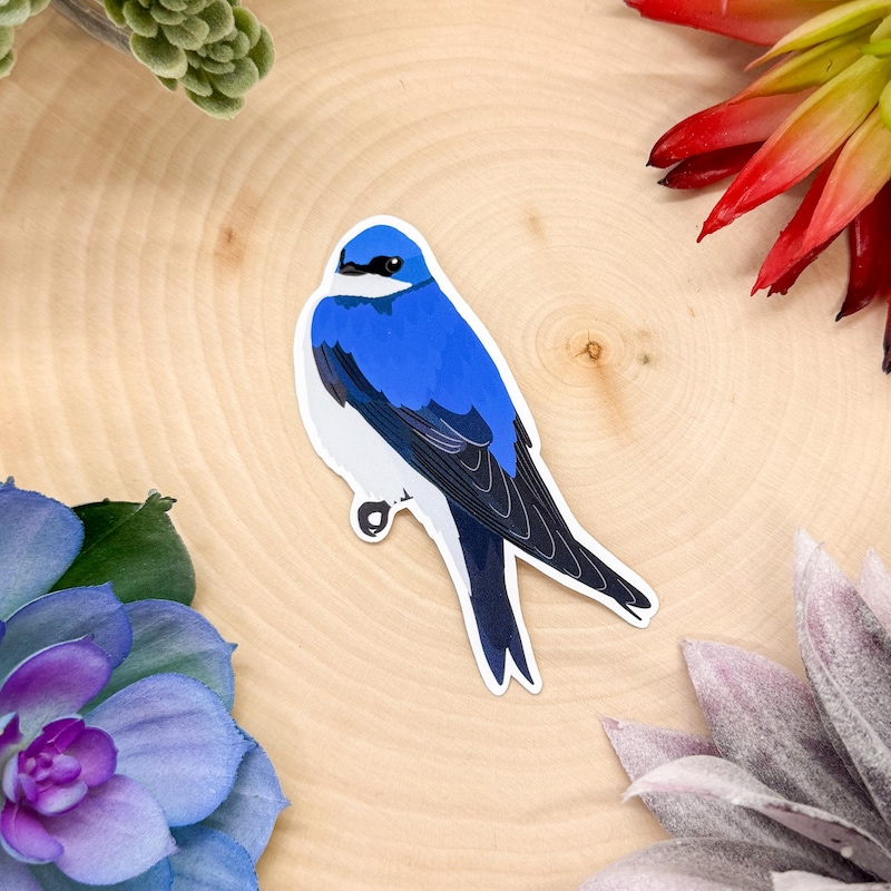 Swallow Decal - Etsy