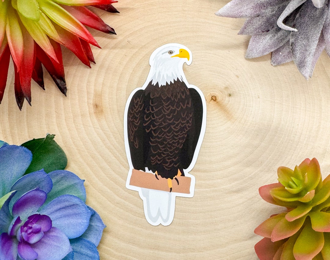 Bald Eagle Sticker, Bird Sticker, Birdwatching Sticker, Birding Sticker ...