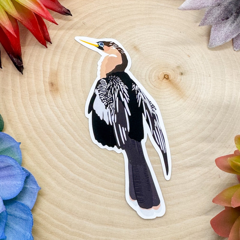 Anhinga Bird Art Prints - Etsy