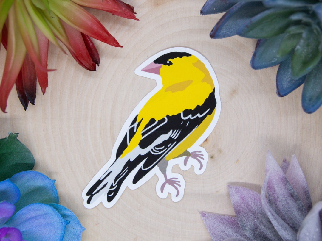 American Goldfinch Sticker, Bird Sticker, Birdwatching Sticker, Birding ...