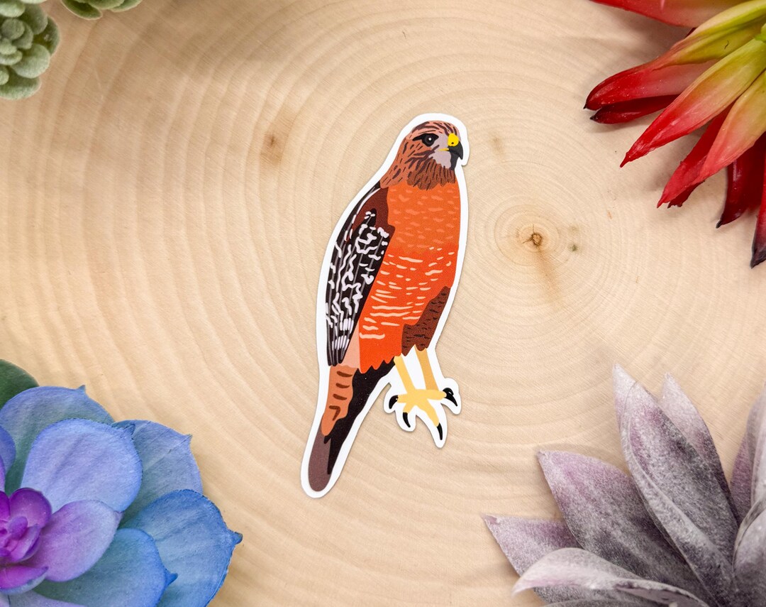 Red Shouldered Hawk Sticker, Red Shouldered Hawk Decal, Hawk Sticker ...