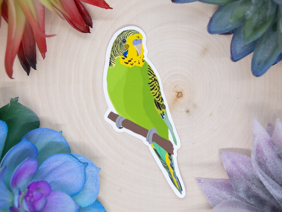 Green Parakeet Sticker, Bird Sticker, Birdwatching Sticker, Birding ...