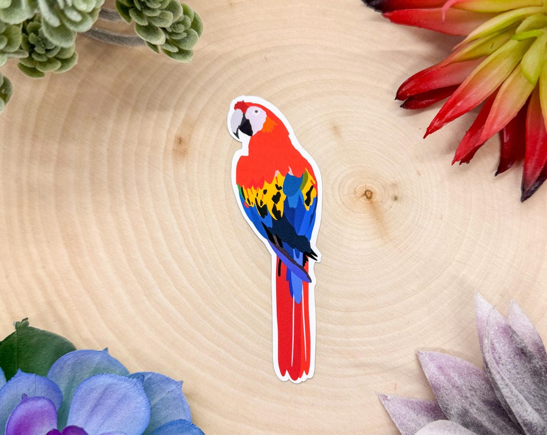 Scarlet Macaw Sticker, Bird Sticker, Birdwatching Sticker, Birding ...