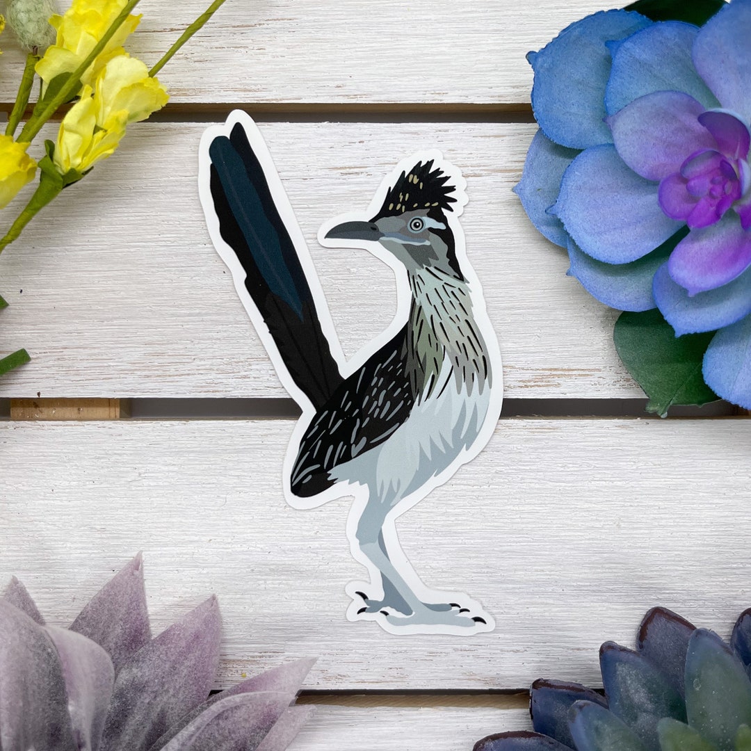 Roadrunner Sticker Roadrunner Decal Roadrunner Decor - Etsy