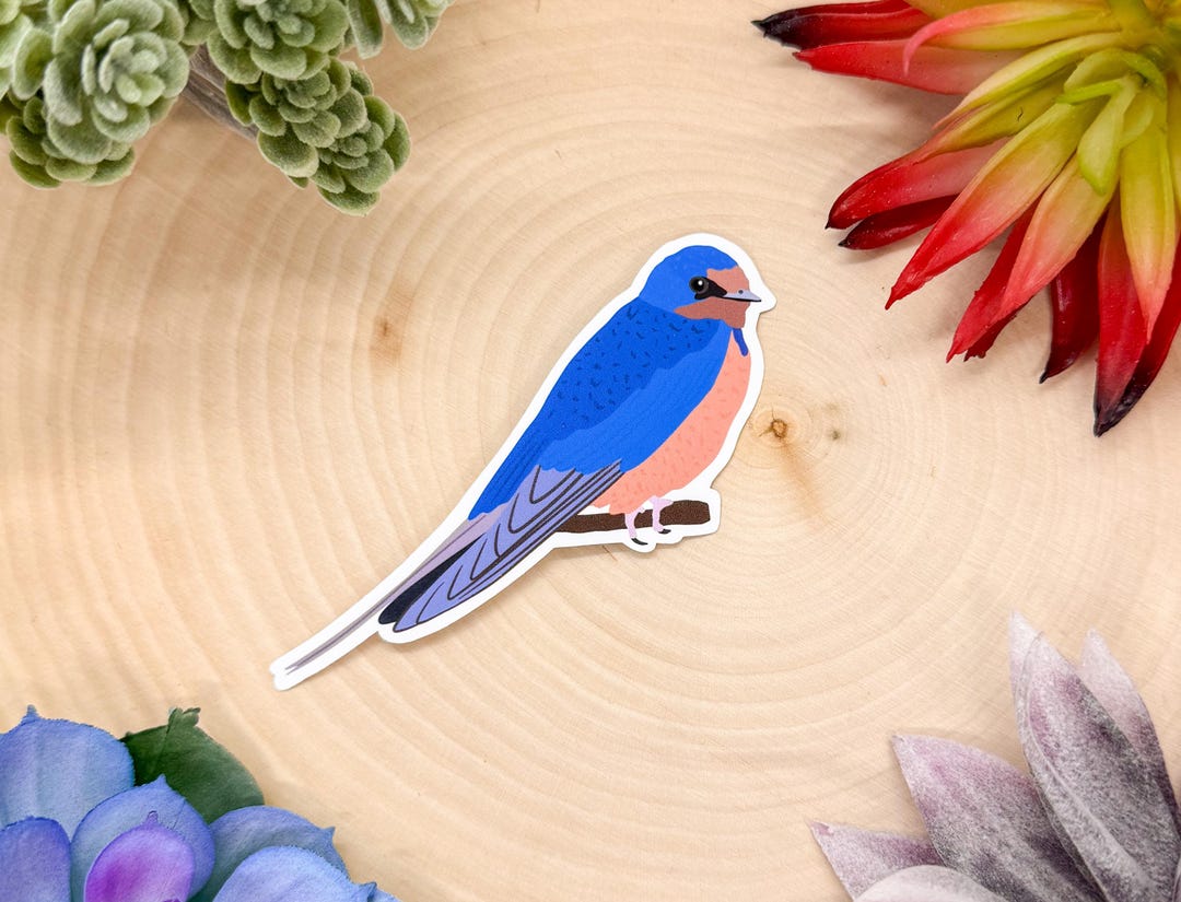 Barn Swallow Sticker, Barn Swallow Decal, Barn Swallow Gift, Barn ...
