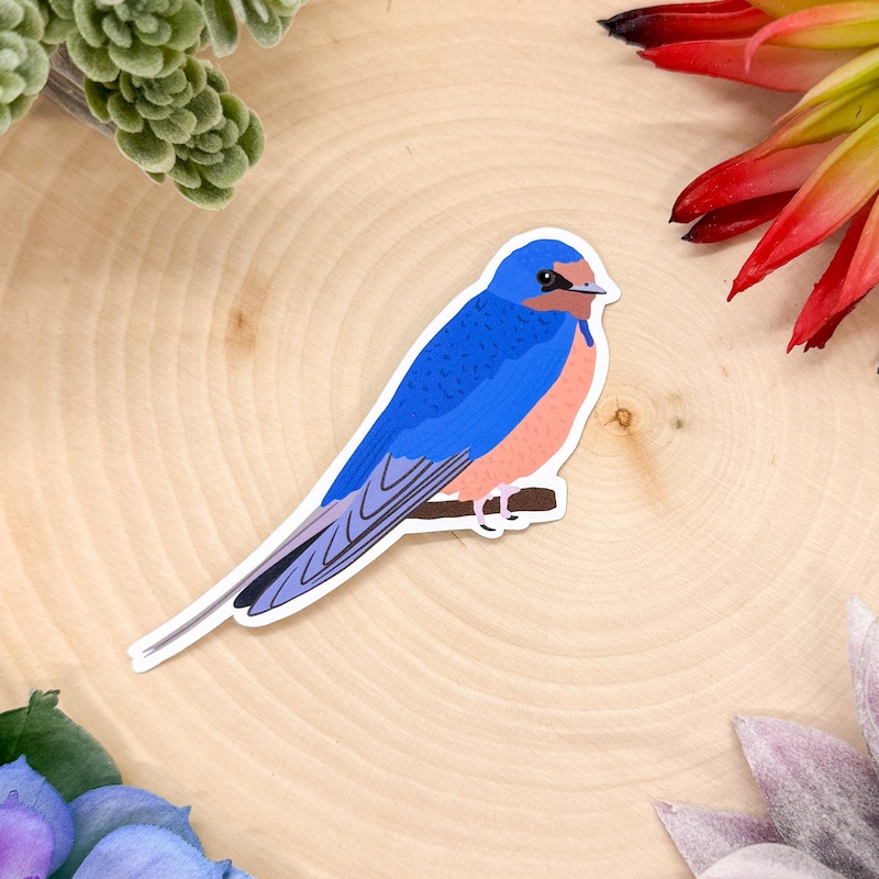 Swallow Decal - Etsy