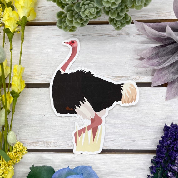 Ostrich Sticker Bird Sticker Birdwatching Sticker Birding | Etsy