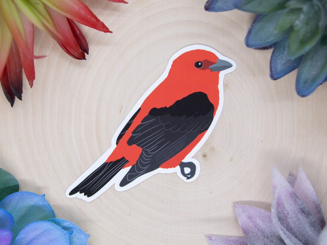 Scarlet Tanager Sticker, Bird Sticker, Birdwatching Sticker, Birding ...