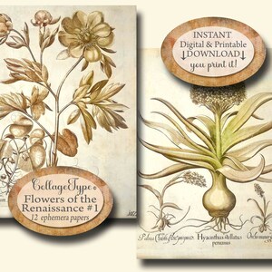 Antique Botanical Papers, Sepia, Jpg and Pdf, Digital, Ephemera, 12 ...