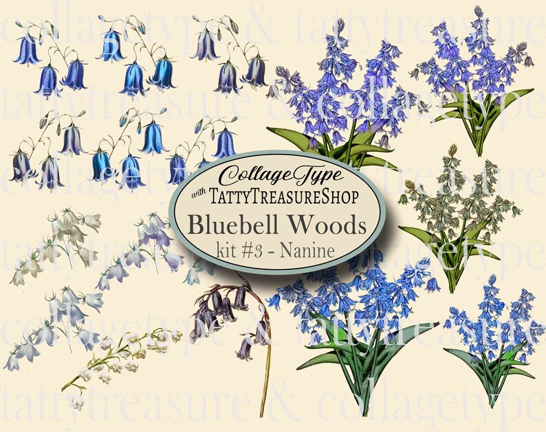 Bluebell Woods Ephemera, Animals and Botanicals, Collage Kit (digital ...