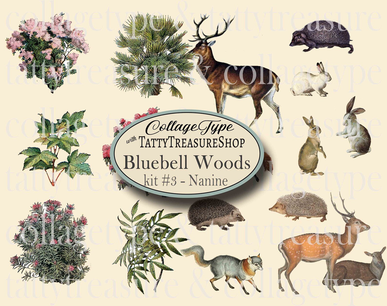 Bluebell Woods Ephemera, Animals and Botanicals, Collage Kit (digital ...