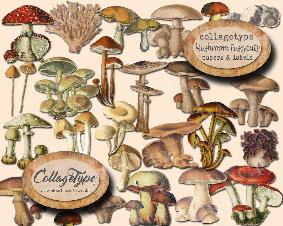 Junk Journal, Fussy Cut Mushrooms, Labels, Woodland, Ephemera, Paper ...