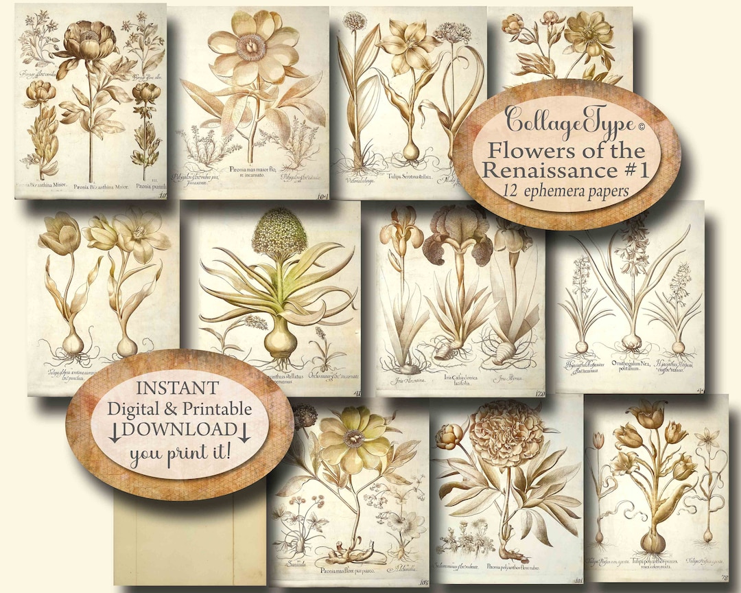 Antique Botanical Papers, Sepia, Jpg and Pdf, Digital, Ephemera, 12 ...