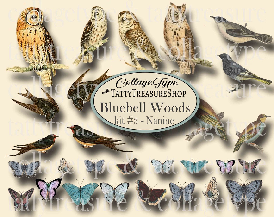 Bluebell Woods Ephemera, Animals and Botanicals, Collage Kit (digital ...