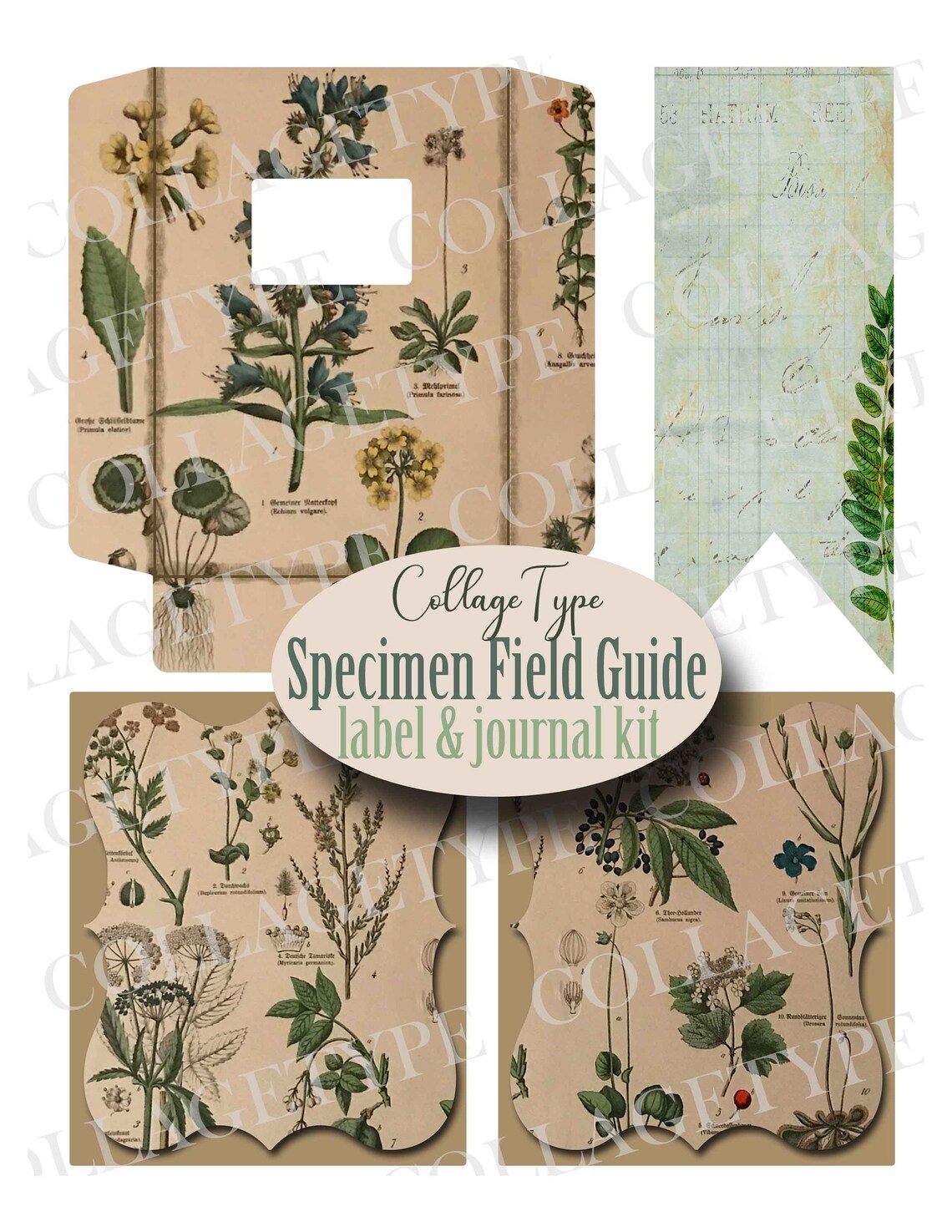 Junk Journal Digital Paper Specimen Notebookscrapbooking | Etsy