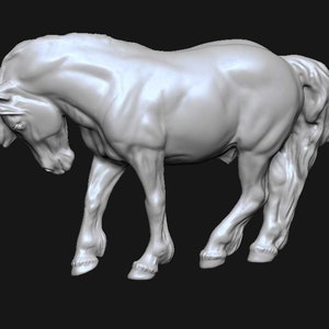 Gimli, Shetland Pony Gelding. 3D Printed. - Etsy