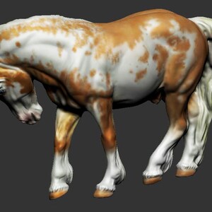 Gimli, Shetland Pony Gelding. 3D Printed. - Etsy