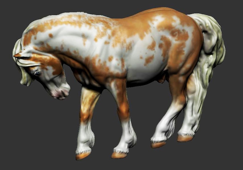 Gimli, Shetland Pony Gelding. 3D Printed. - Etsy