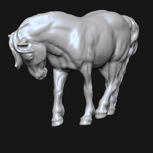 Gimli, Shetland Pony Gelding. 3D Printed. - Etsy