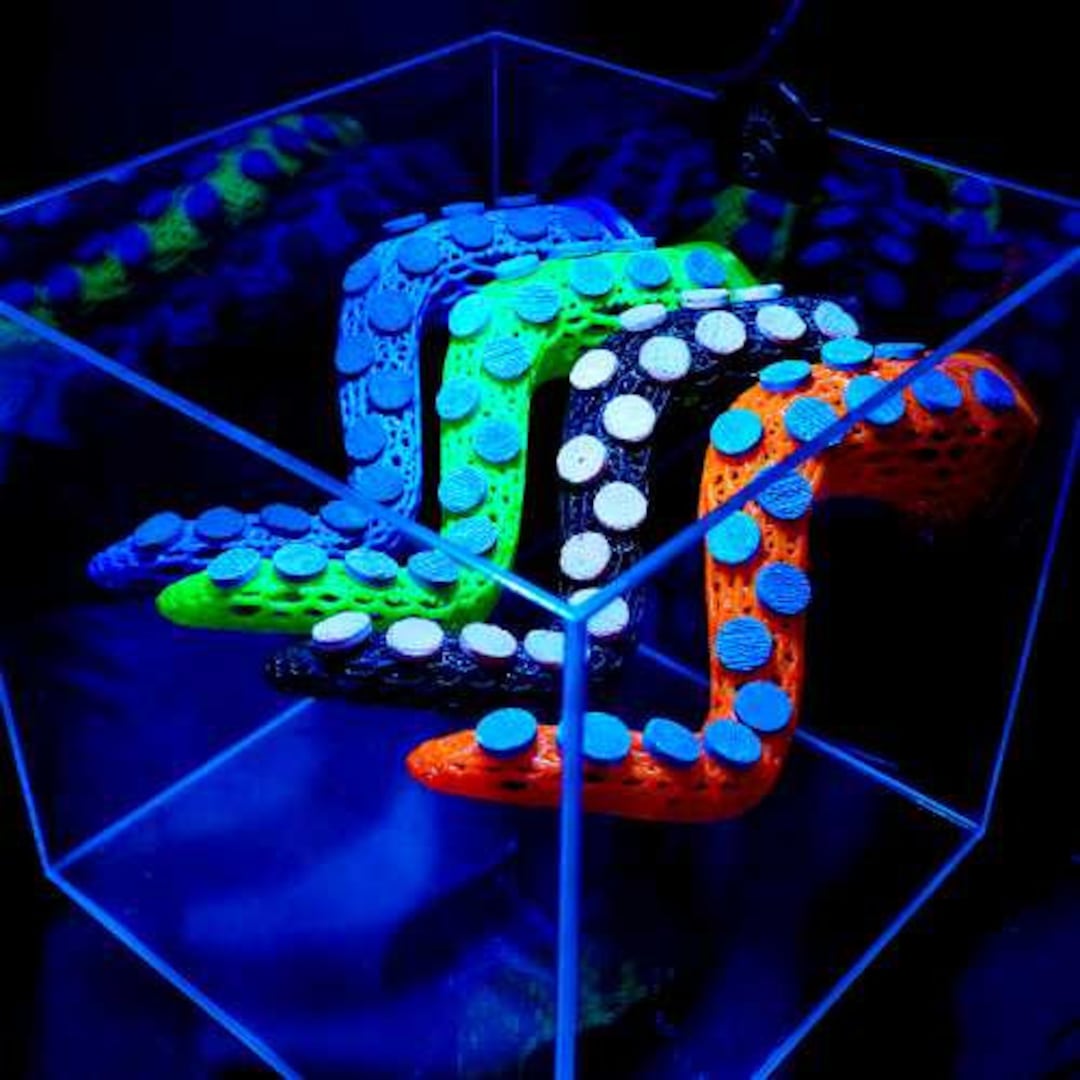 Octorack 3D Printed Octopus Arm Frag Rack for Reef Aquariums plugs ...