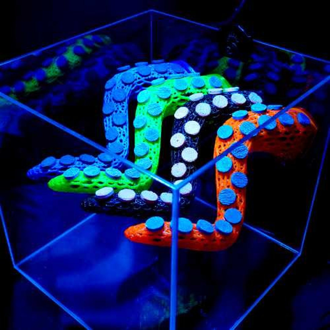 Octorack 3D Printed Octopus Arm Frag Rack for Reef Aquariums plugs ...