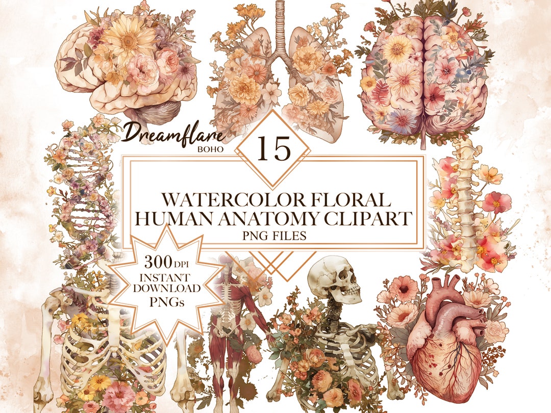 Boho Floral Human Anatomy Clipart Bundle, Boho Floral PNG, Watercolor ...