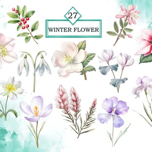 48 Watercolor Winter Flowers Clipart, Floral Clipart, Flowers PNG ...
