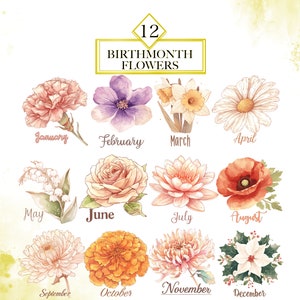 Watercolor Floral Birthday Clipart Bundle, Birthday Party Clipart ...