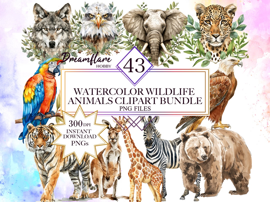 Watercolor Wildlife Animals Clipart Bundle, Wild Animals PNG, Wildlife ...