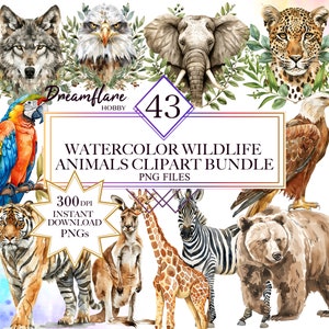 Watercolor Wildlife Animals Clipart Bundle, Wild Animals PNG, Wildlife ...