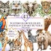 Watercolor Wildlife Animals Clipart Bundle, Wild Animals PNG, Wildlife ...