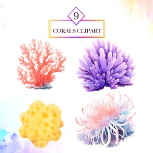 Watercolor Corals Clipart Bundle, Undersea Clipart, Wreaths & Frames ...