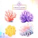 Watercolor Corals Clipart Bundle, Undersea Clipart, Wreaths & Frames ...