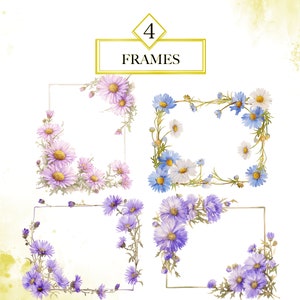 Watercolor Aster Flowers Clipart Bundle, Fall Flowers PNG, Wildflowers ...