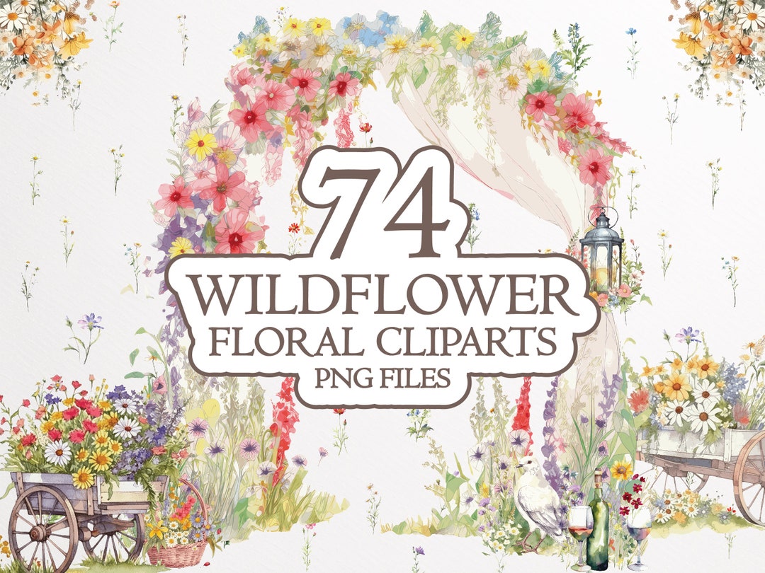 Watercolor Wildflower Clipart, Floral Meadow, Spring Flowers Png ...