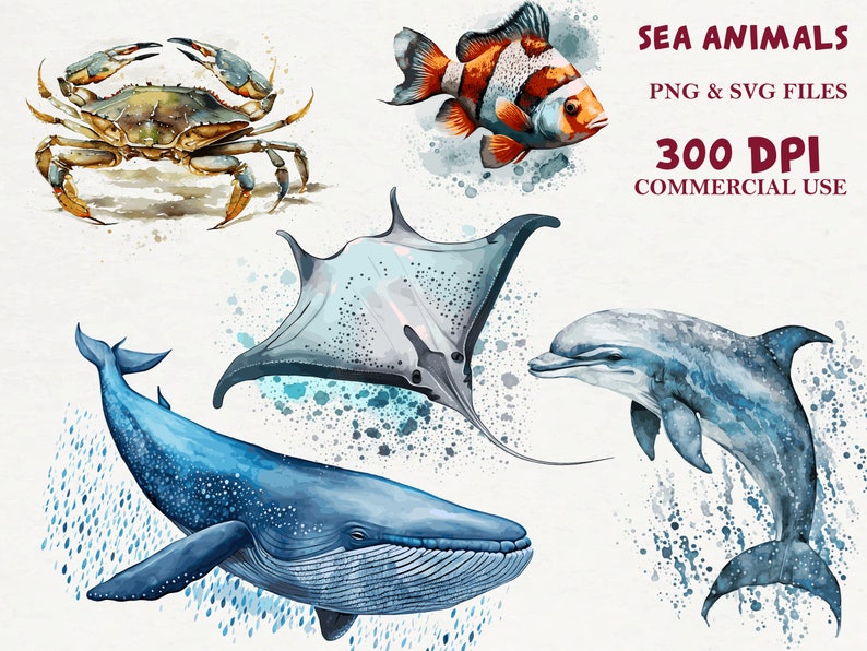 Watercolor Sea Animals Clipart Bundle, PNG & SVG, Watercolor ...