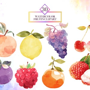 Watercolor Fruits PNG Clipart Bundle, Back to School Clipart, Fruits ...