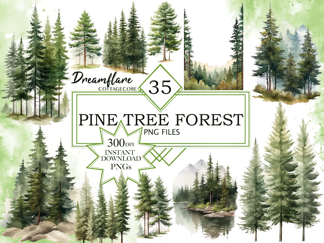 Watercolor Forest Pine Tree, Pine Tree PNG, Woodland Tree Clipart ...